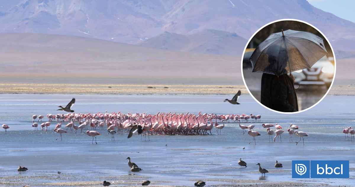 Conaf cierra temporalmente 7 parques y reservas nacionales en zona ...